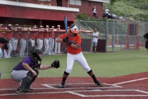 62 Baseball Poems to Have Fun and Be Thrilled - sonicspot.com